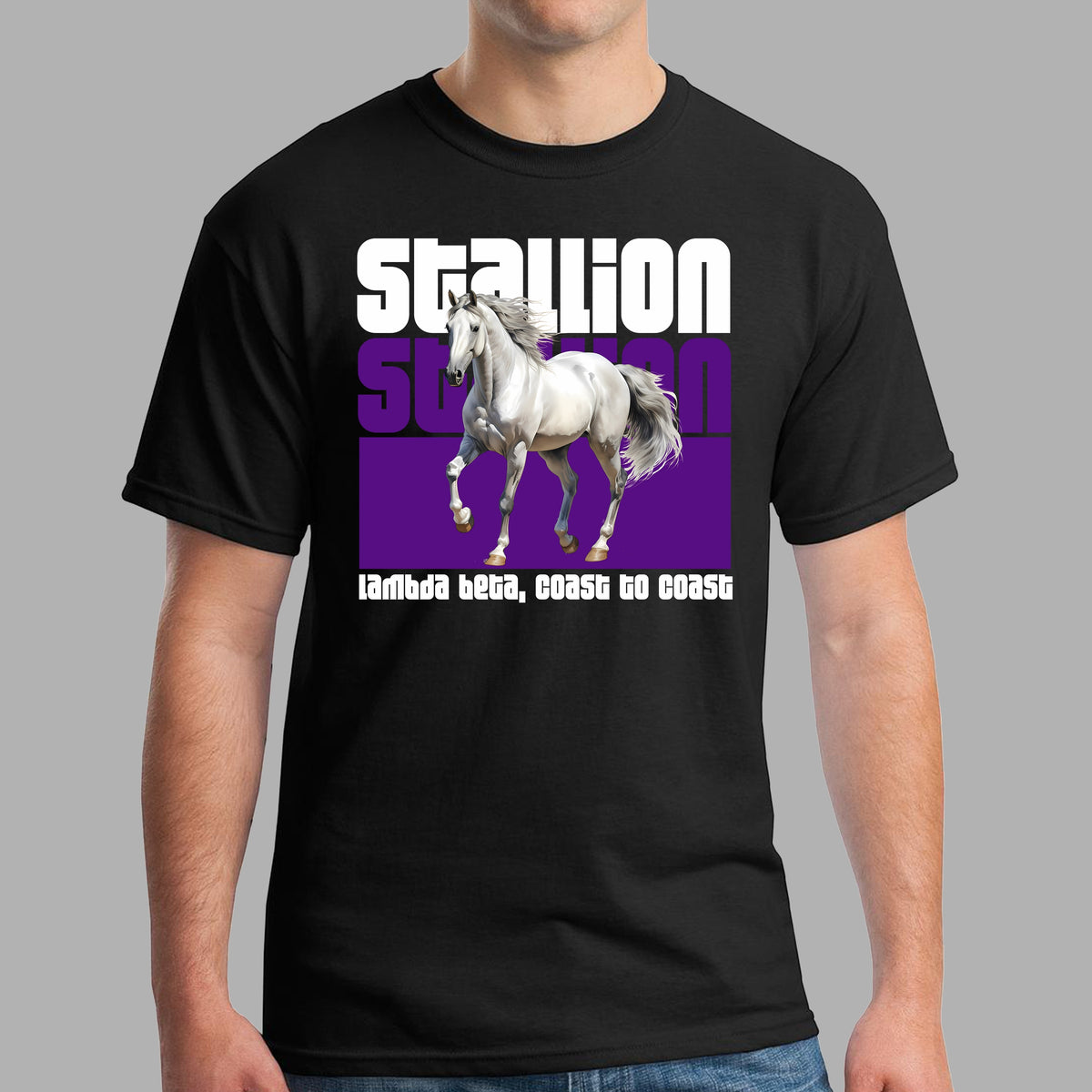 Lambda Beta | Sigma Lambda Beta – Eleven 19 Designs LLC