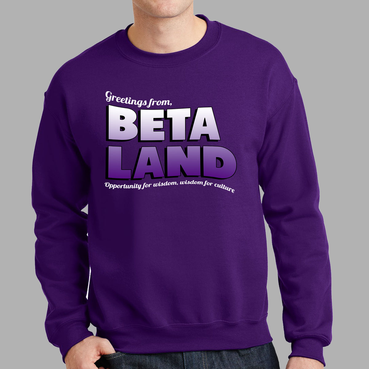 BetaLand | Sigma Lambda Beta – Eleven 19 Designs LLC